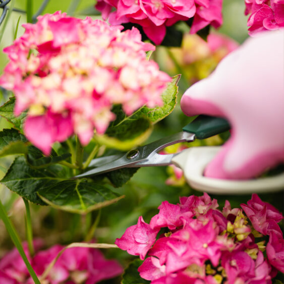The Gardener Flower Scissors - Primehort - Smarter Growing
