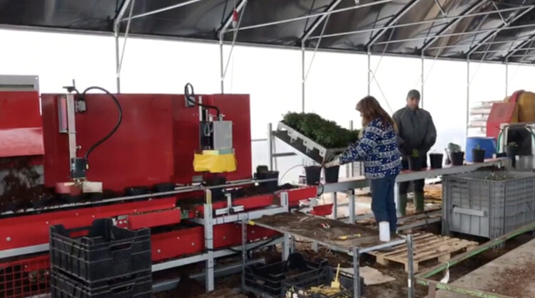 Potting Machines – Primehort – Smarter Growing