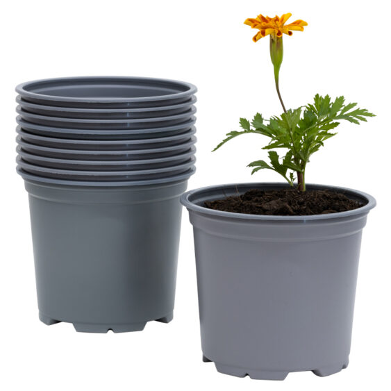 Robust Thermoformed Pots for Superior Growth | PrimeHort