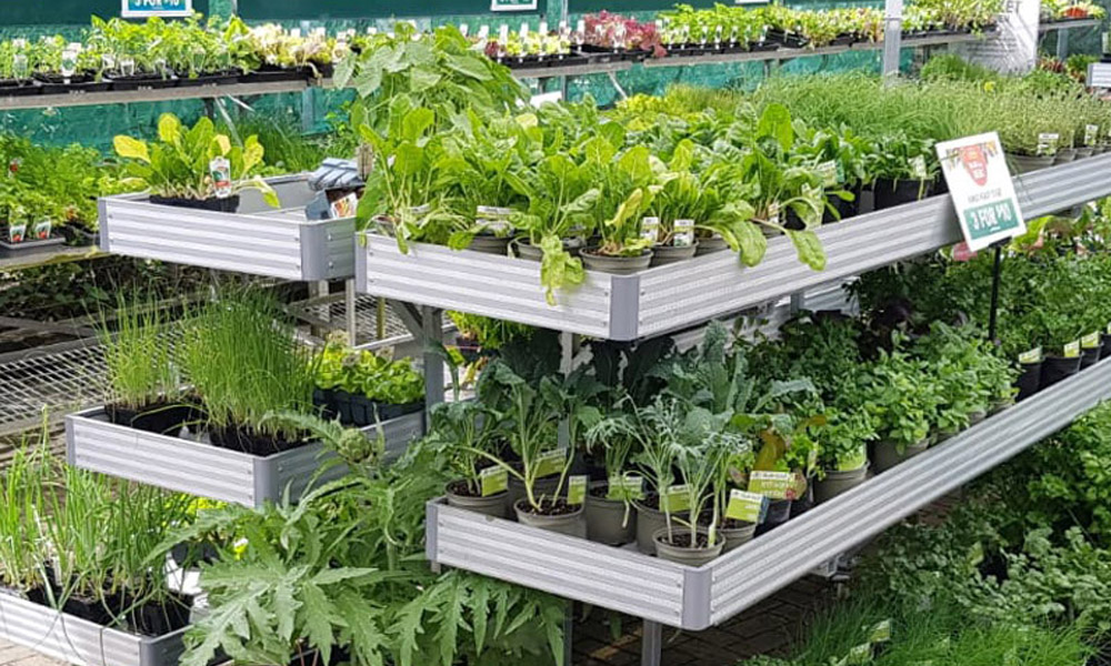 Displays that grow on you! - Primehort - Smarter Growing