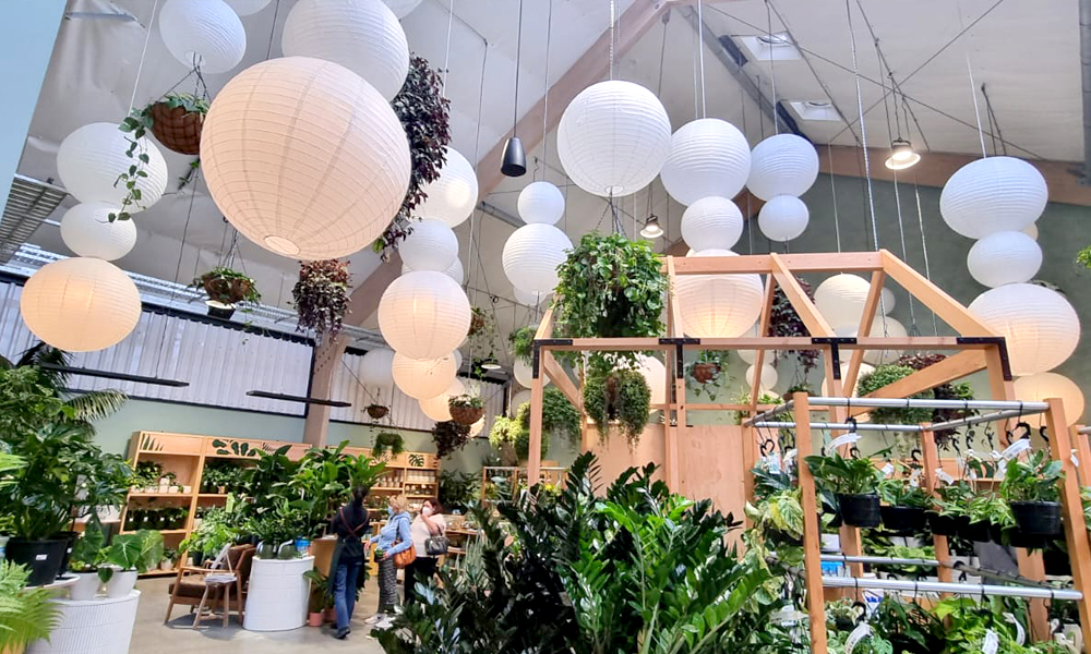 The Changing Landscape of Garden Centres! - Primehort - Smarter Growing