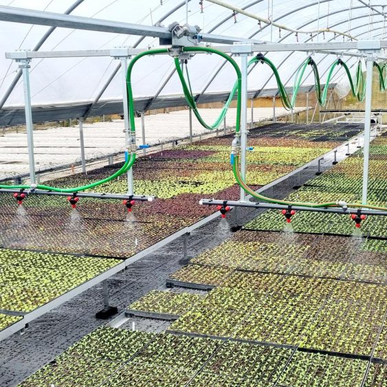 Greenhouse Boom Irrigation Systems REGA 3 CONIC SYSTEMCONIC SYSTEM