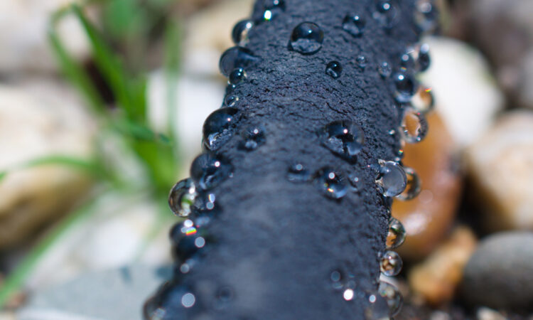 The Gardener Weeper Soak Hose with Fittings - Primehort - Smarter Growing