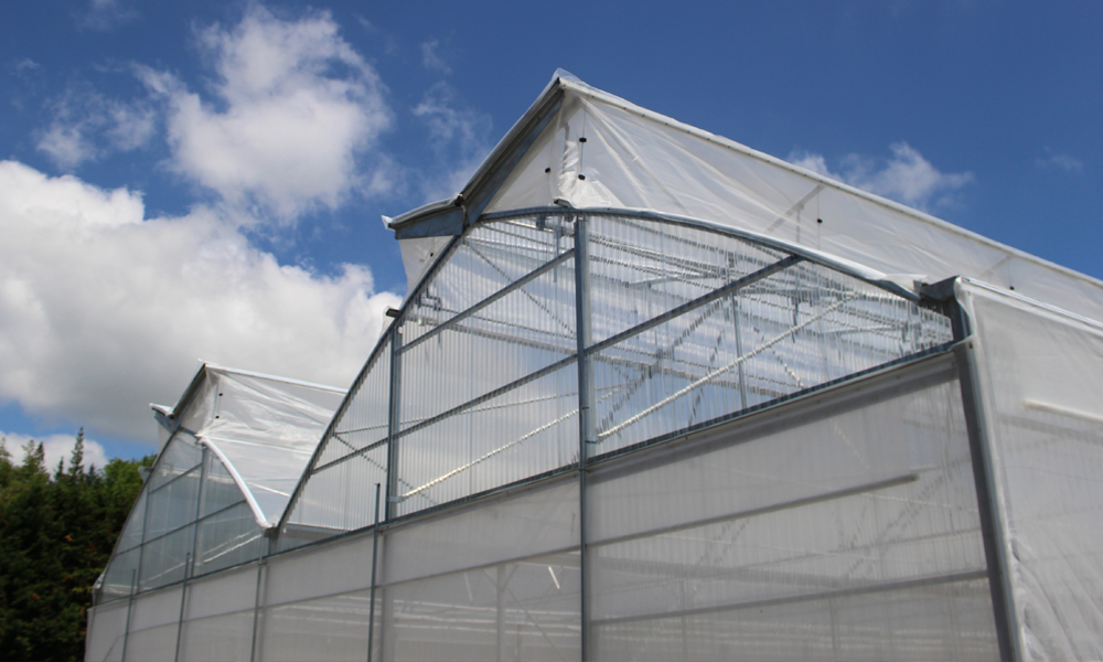 Reflecting on a landmark project for Scion - Primehort - Smarter Growing