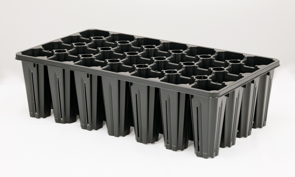 Growers Favourite Forestry Tray Makeover | PrimeHort