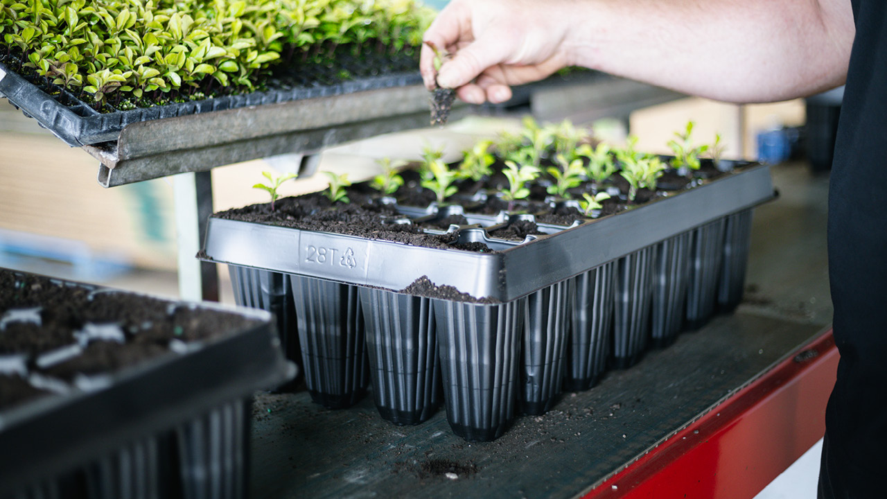 28 Deep Square Cell Tray - Primehort - Smarter Growing