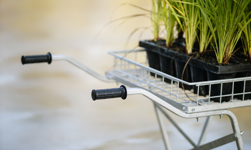 Nursery Plant Carts, Spend & Win Campaign! | PrimeHort