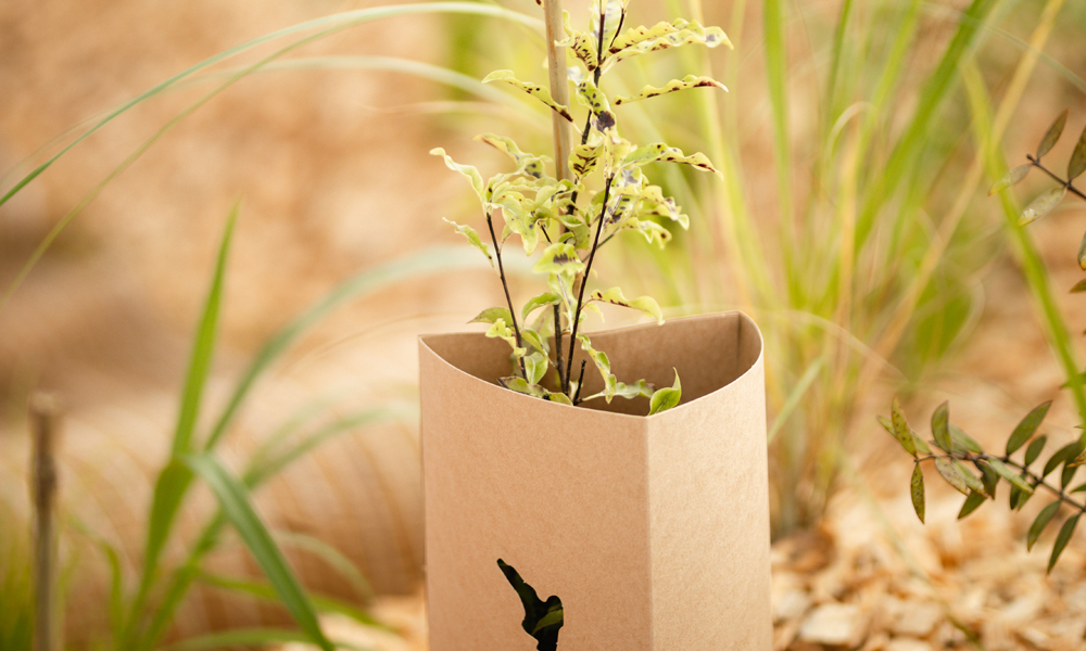 Winter Planting Are You Ready? Landscaping Success | PrimeHort