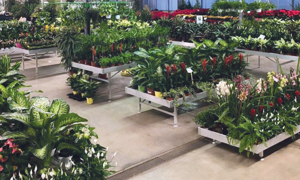 Retailers, Ready, Set, Spring. Hot Tips For Sales! | PrimeHort