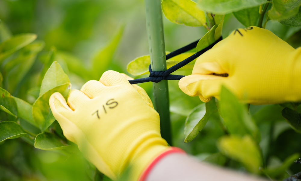 Retailers, Ready, Set, Spring. Hot Tips For Sales! | PrimeHort