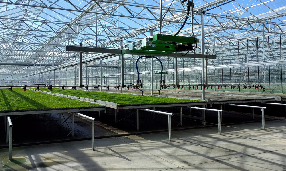 Simple Irrigation Boom Checks To Keep Plants Thriving | PrimeHort